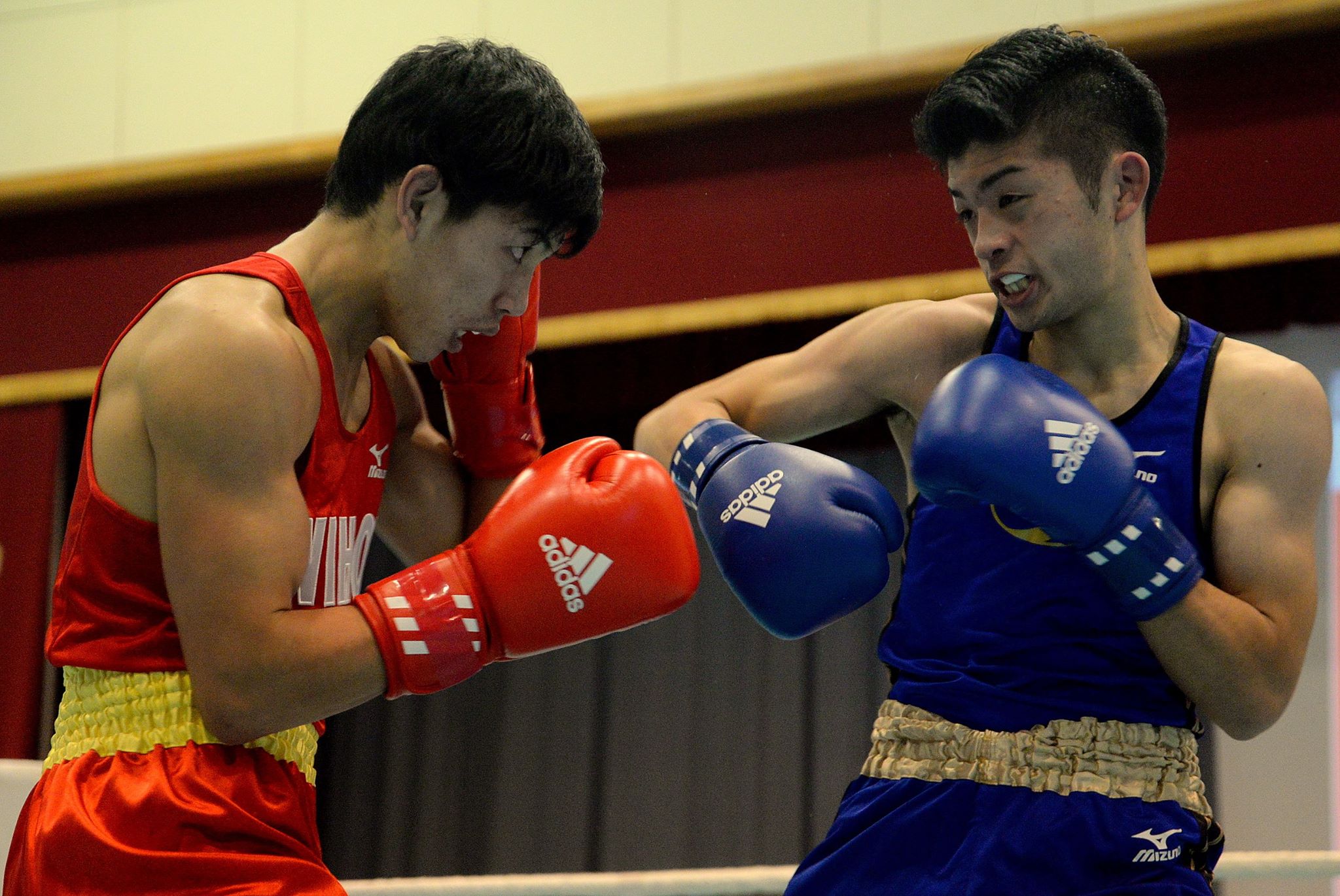 Top 5 Most Popular Sports in Japan Till Now - Neo Prime Sport